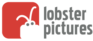 Lobster Vision by Lobster Pictures